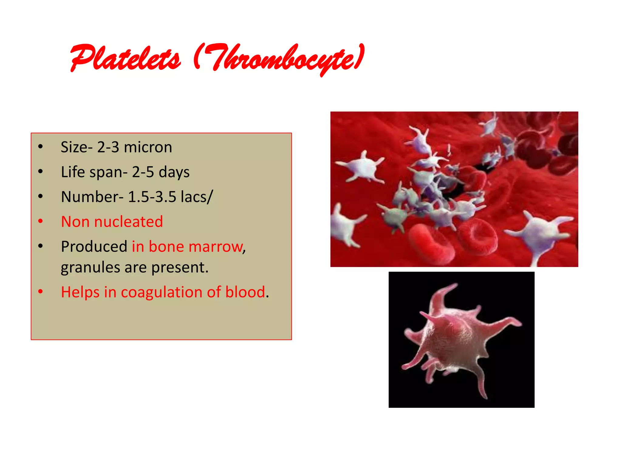 Body fluids and circulation | PDF