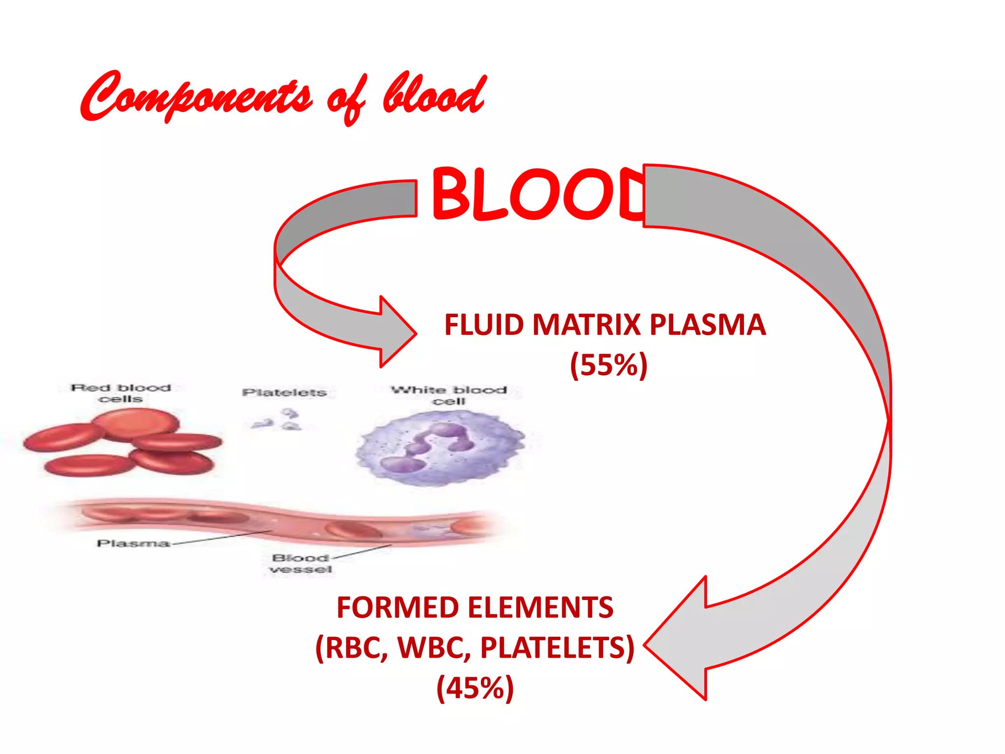 Body fluids and circulation | PDF