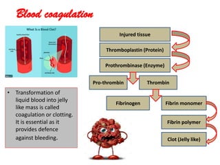 Body fluids and circulation | PDF
