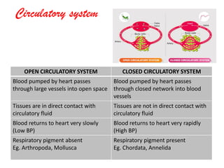 Body fluids and circulation | PDF