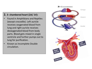 Body fluids and circulation | PDF