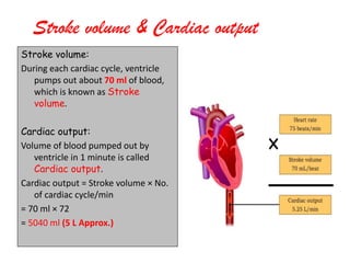 Body fluids and circulation | PDF