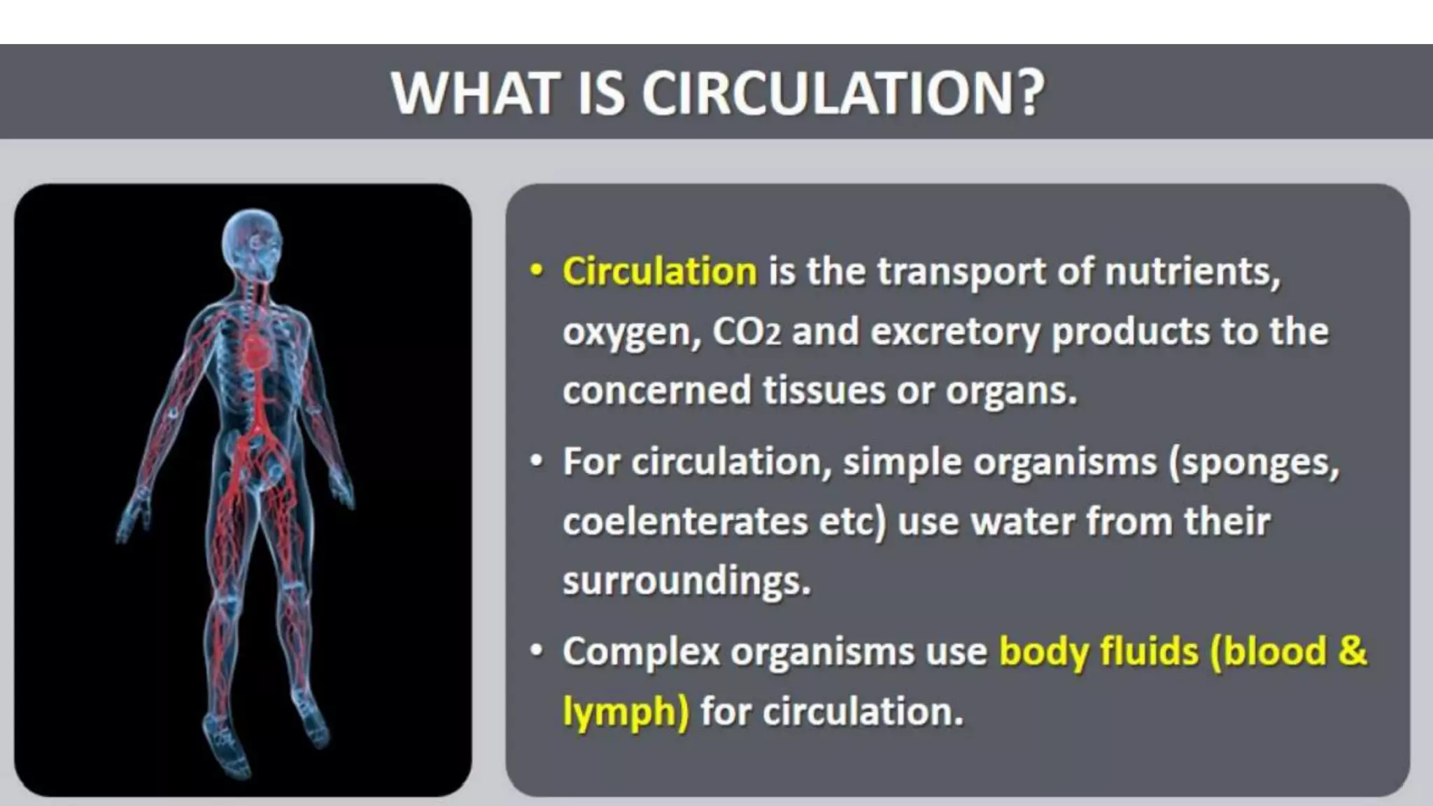 Chapter-18 Body fluids and circulation | PPTX
