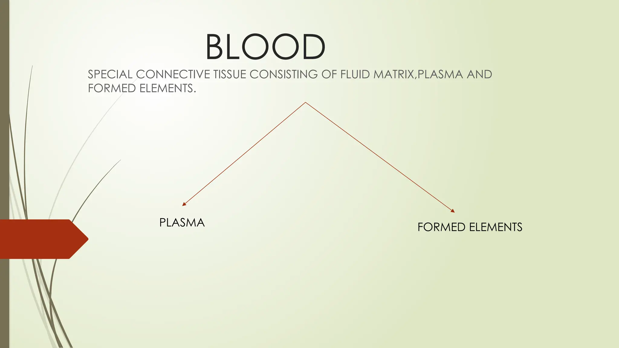 BODY FLUIDS AND CIRCULATION class 11 .pptx