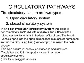 BODY FLUIDS AND CIRCULATION. ppt For CBSE Class XI | PPT
