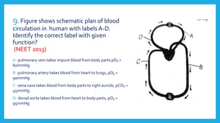 Body fluids and circulation - Previous year NEET questions | PPTX