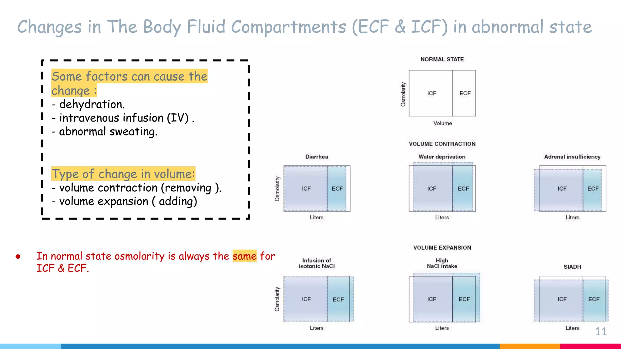 Body fluids and electrolytes+Edema.pdf