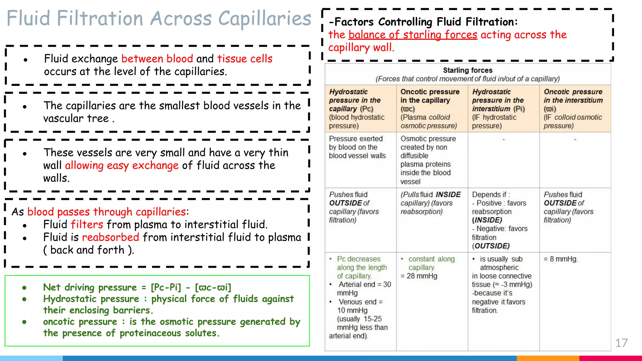 Body fluids and electrolytes+Edema.pdf
