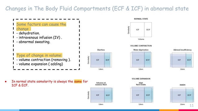 Body fluids and electrolytes+Edema.pdf