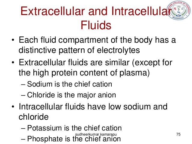 Interstitial fluid vs extracellular fluid - leryreg