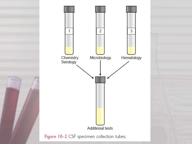 BODY FLUIDS AND SPUTUM ANALYSIS.pptx for mbbs and para medical | PPTX