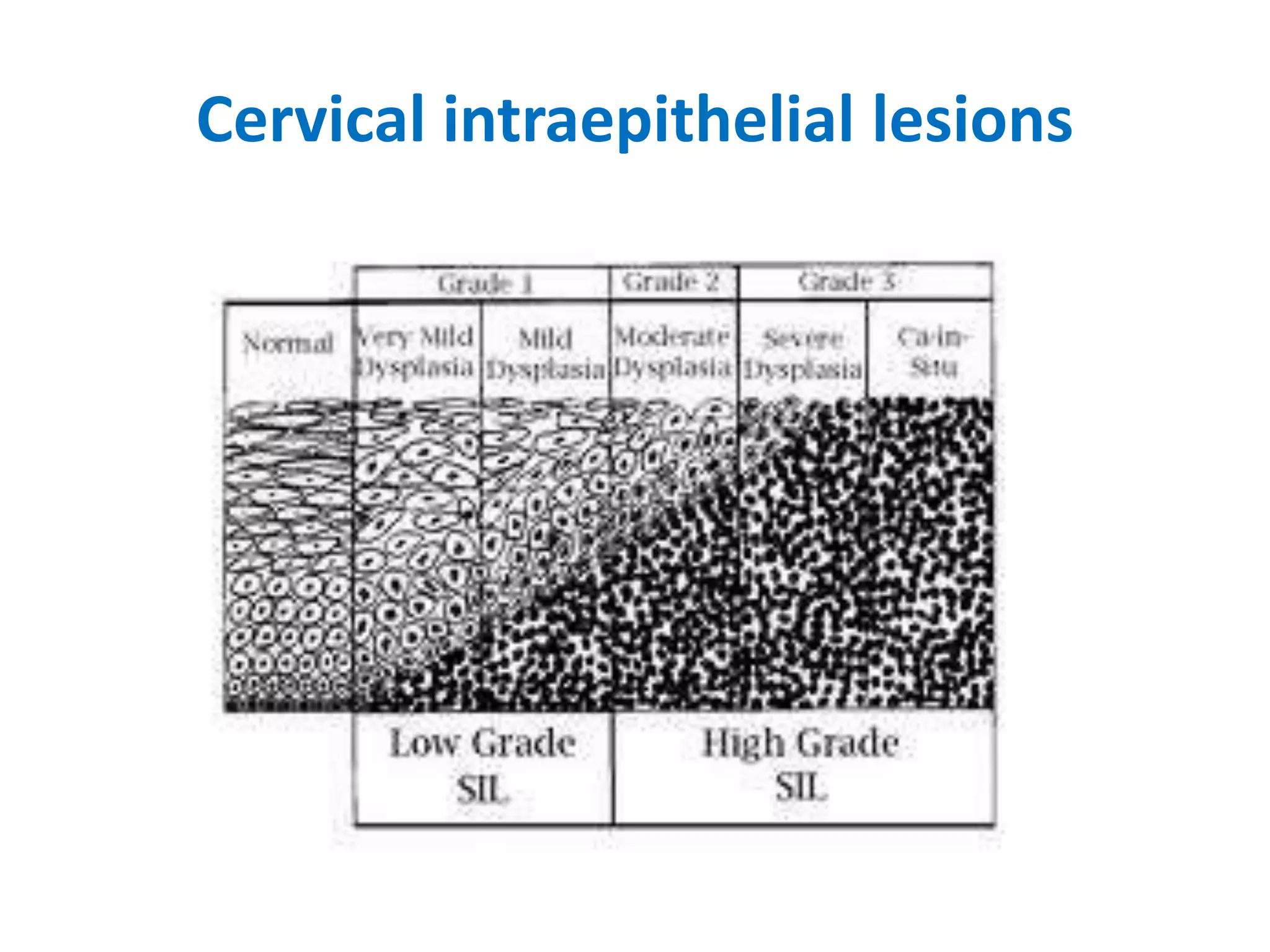 Body fluids, cervical pap | PPTX