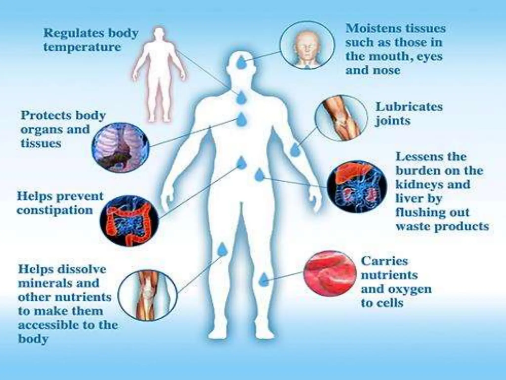 Body fluids & fluids compartments.pptx