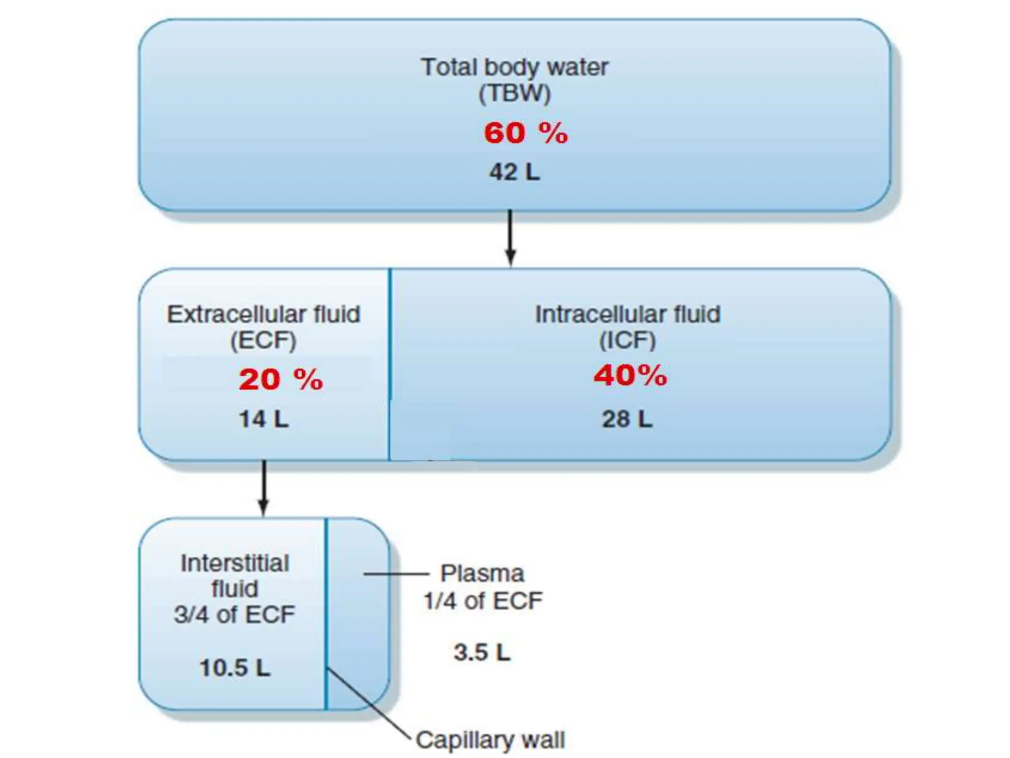 Body fluids & fluids compartments.pptx