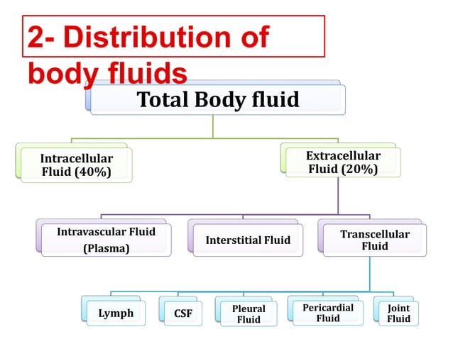 Body fluids & fluids compartments.pptx | Chemistry | Science