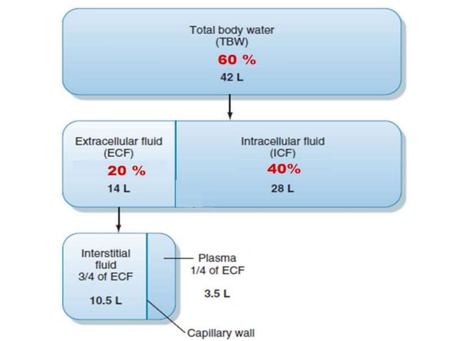 Body fluids & fluids compartments.pptx | Chemistry | Science