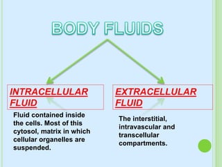Body fluids(health) | PPTX