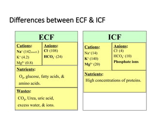 FULL LECTURE ON BODY FLUIDS BY DR DANIEL.ppt