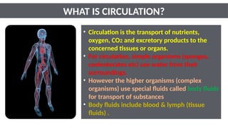 body fluids and its circulation for puc students | PPTX