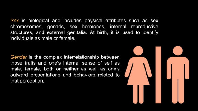 Understanding Gender and Body Image | PPTX