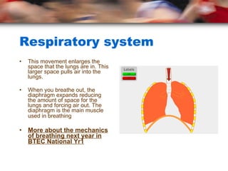 Body in sport session 5,6,7 | PPT