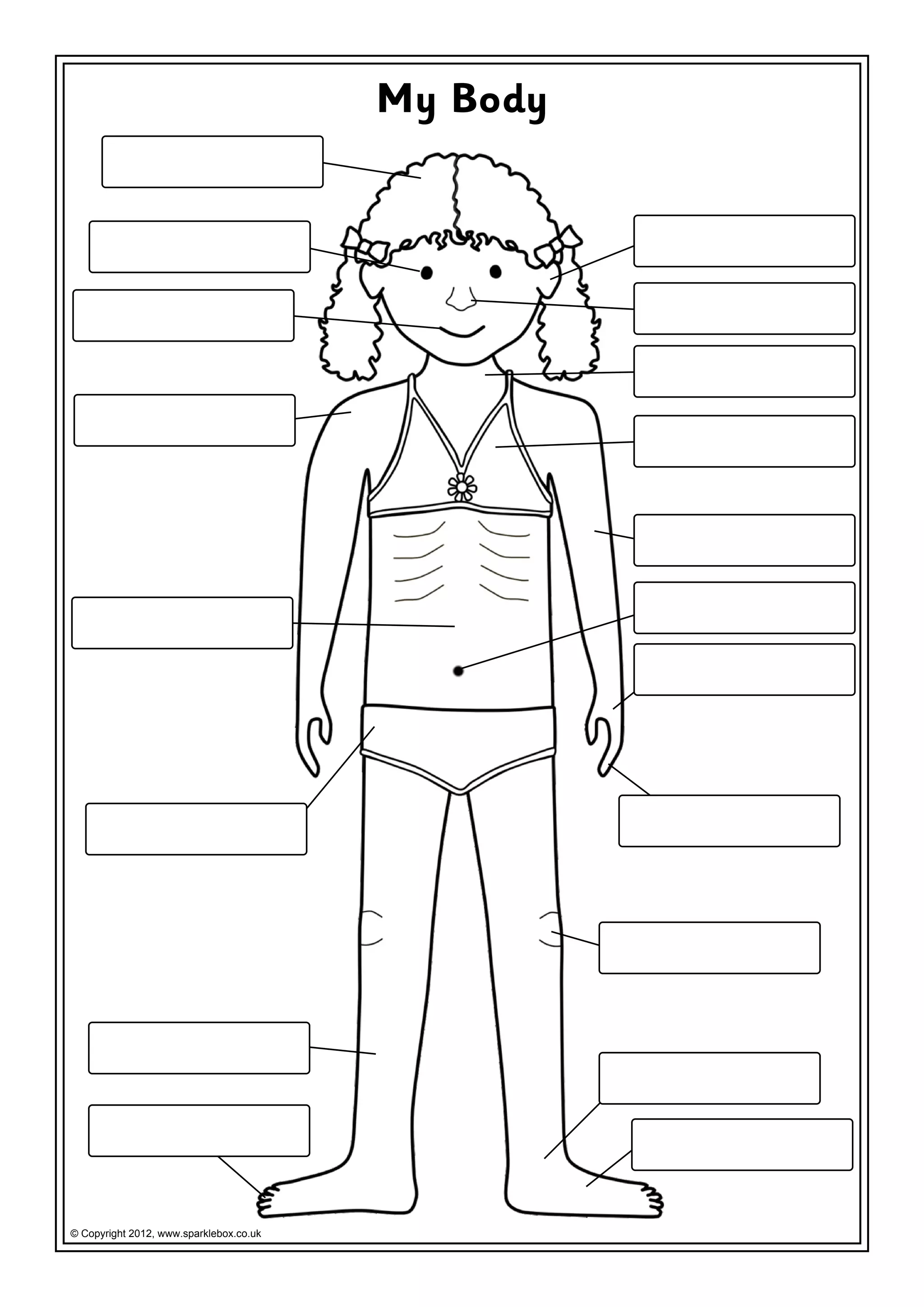 Body labelling | PDF