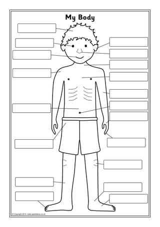 Body labelling | PDF