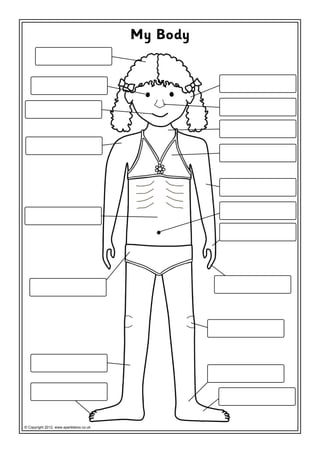 Body labelling | PDF