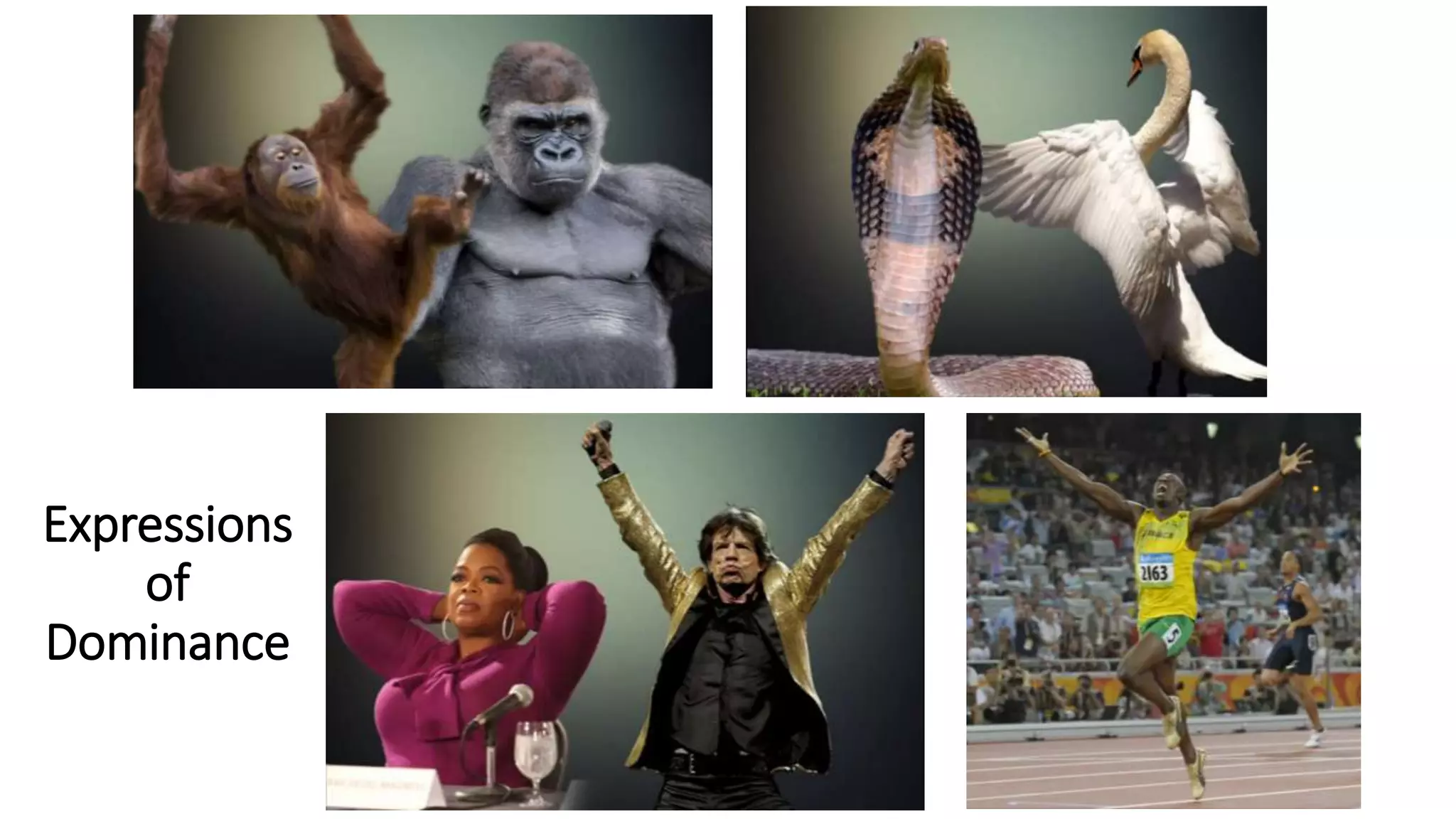 The Art of Body language | PPT