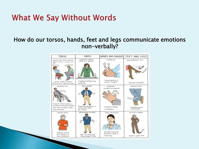 Body language during presentation | PPT