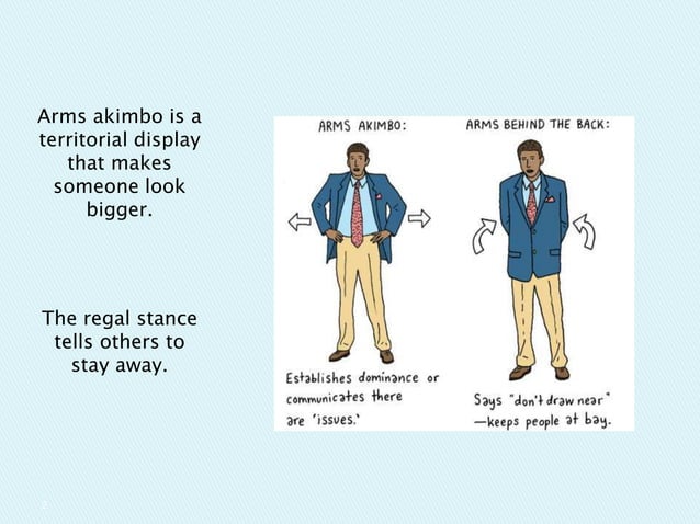 Body language during presentation | PPT