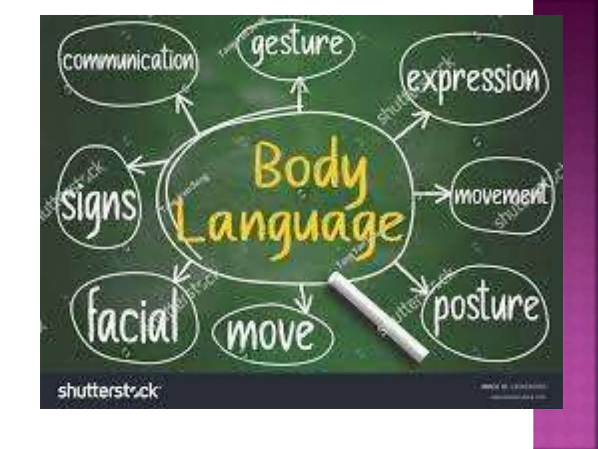 body language basics for managment people | PPT