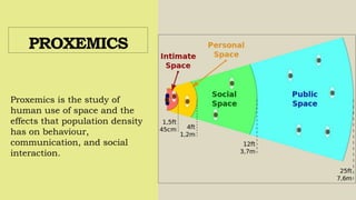 Body language and etiquettes | PPTX
