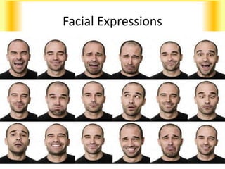 Body Language and Face Reading | PPTX