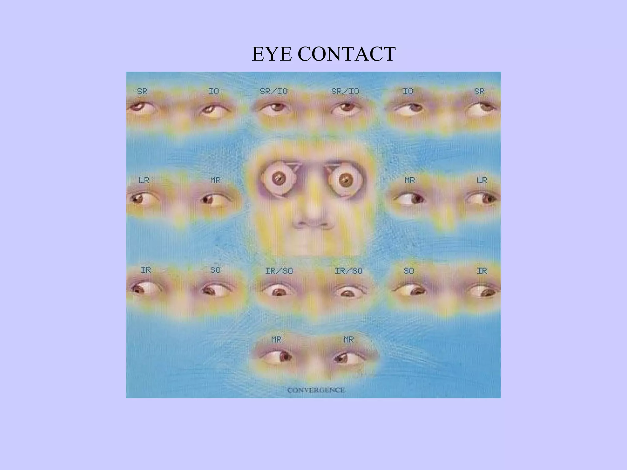 Body language ppt | PPT