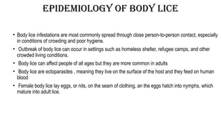 Body lice in adults and children in a society | PPTX