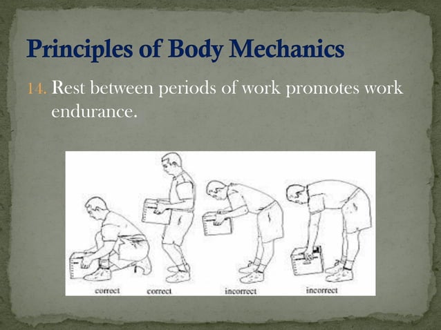 body machanics-converted.pdf