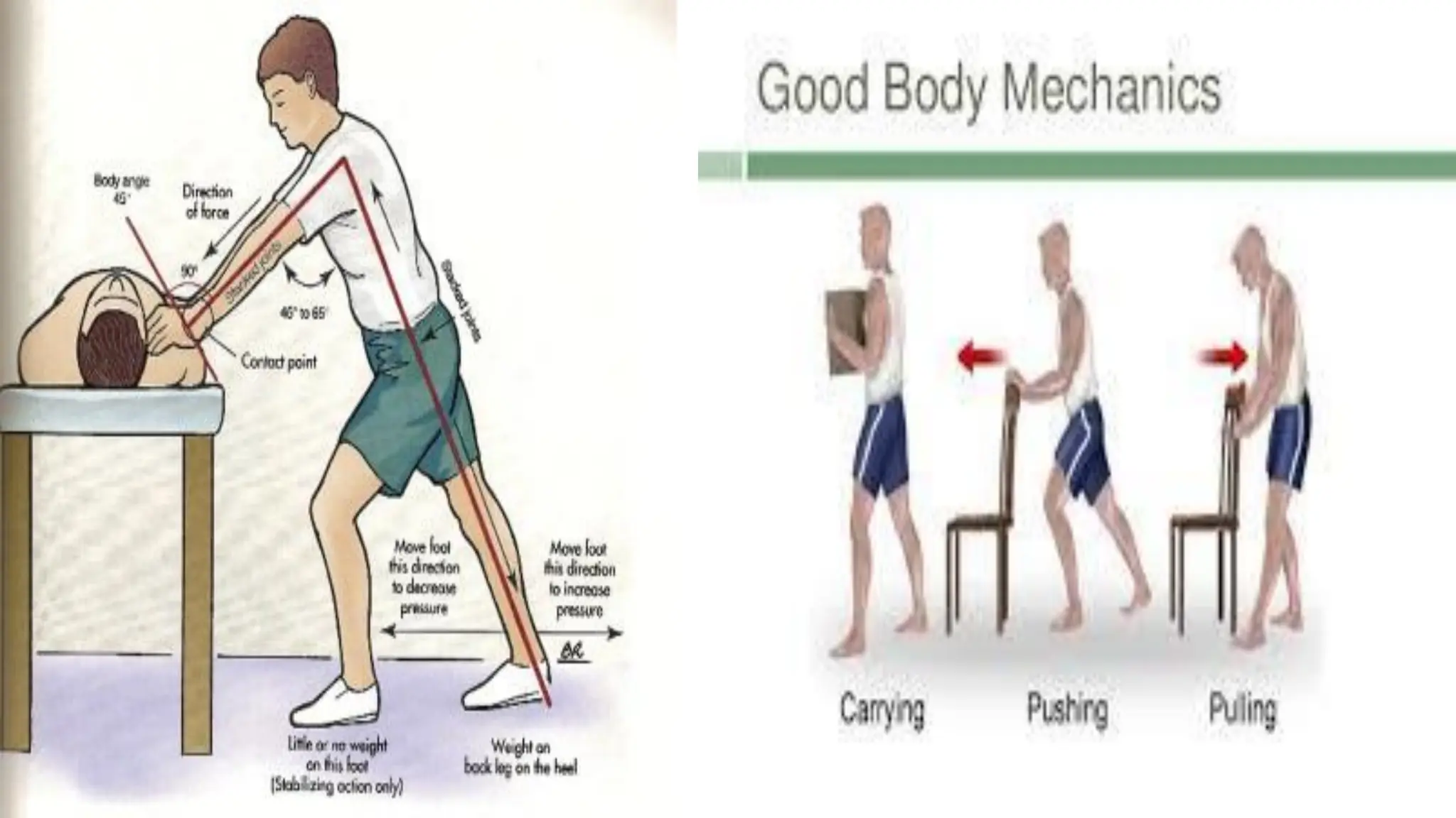 Body Mechanics-converted.pdf notes for nursing students | PDF