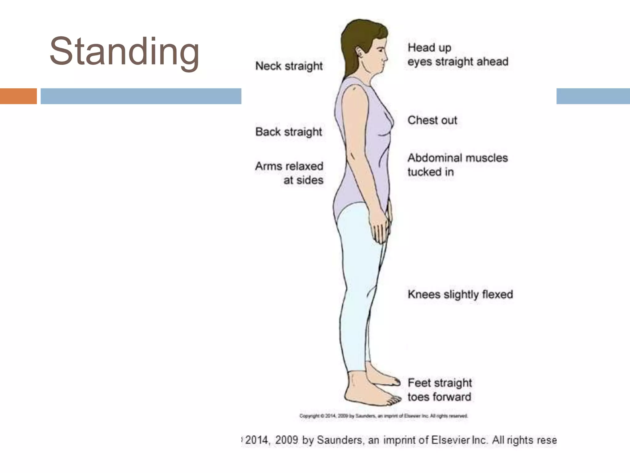 Body mechanics, mobility and body alignment introduction | PPTX