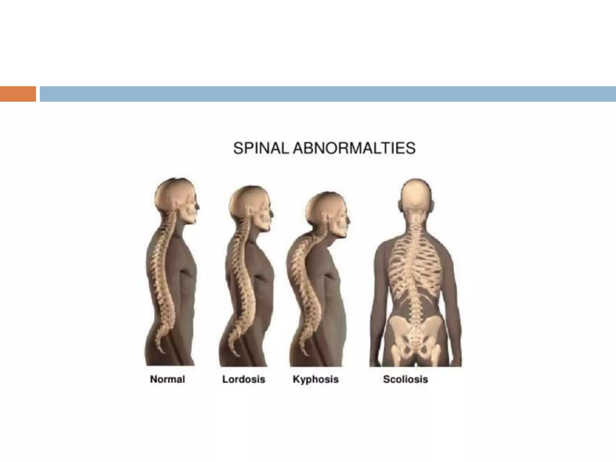 Body mechanics, mobility and body alignment introduction | PPTX