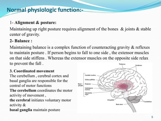 Body Mechanics, Positioning & Moving ..ppt
