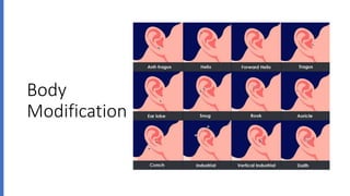 body mod examples.pptx