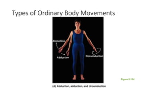 Body Movement.pptx