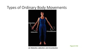 Body Movement.pptx