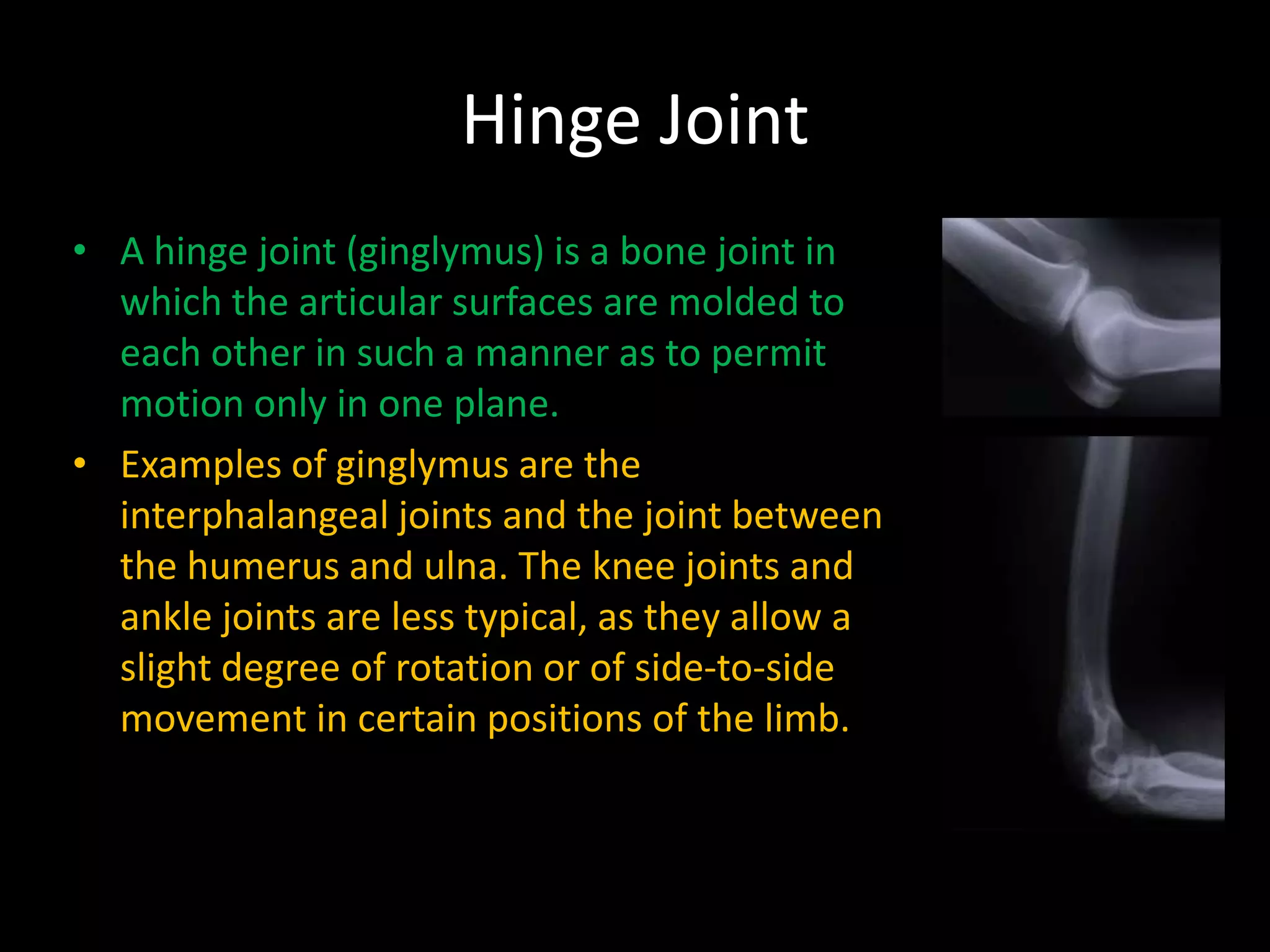 Body movement - human | PPTX