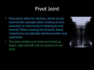 Body movement - human | PPTX