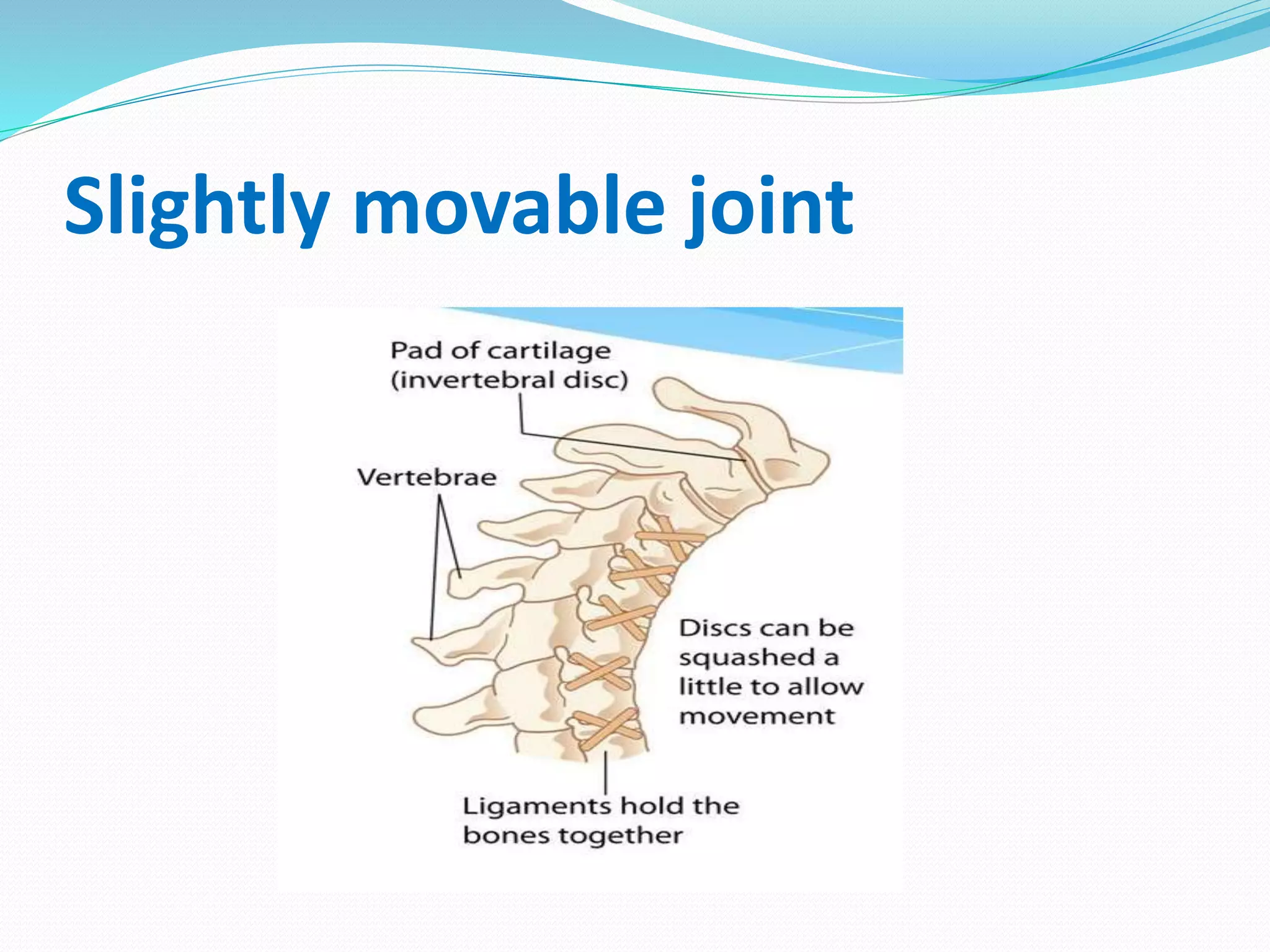 Body movements | PPTX