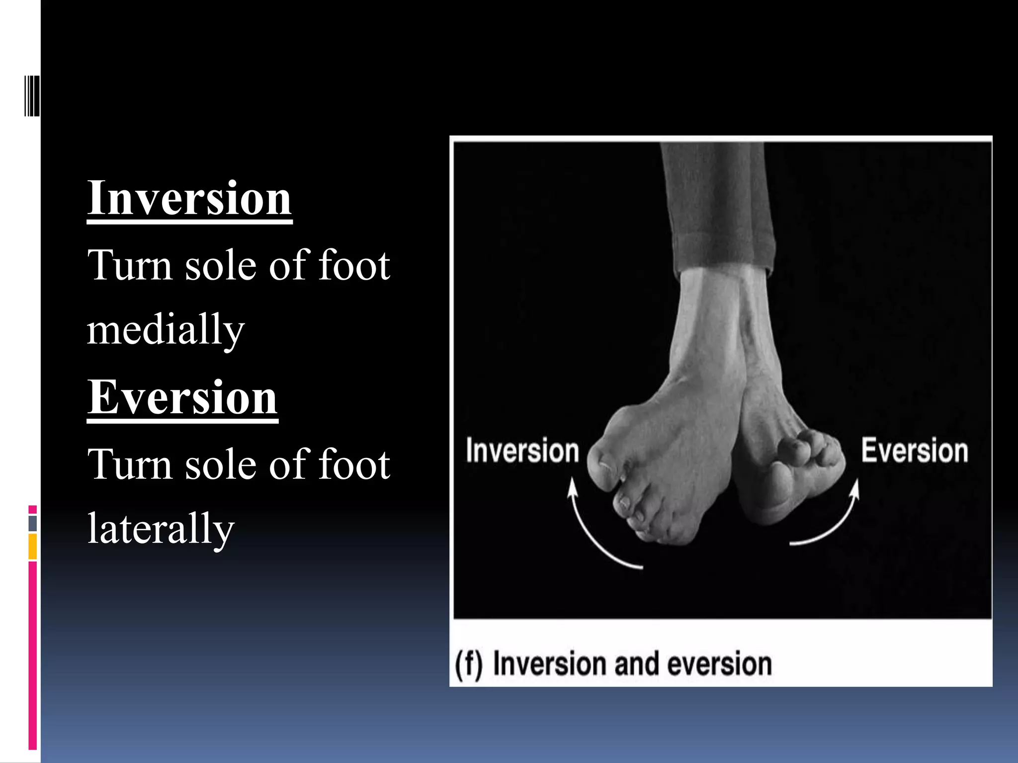 Body movements | PPTX