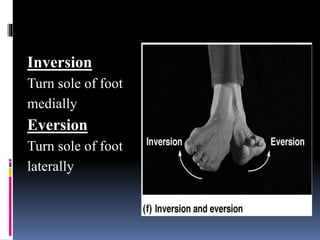 Body movements | PPTX
