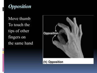 Body movements | PPTX